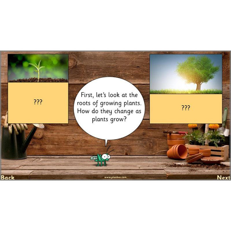 Secret World of Plants - KS1 Science Scheme of Work: Year 2 — PlanBee