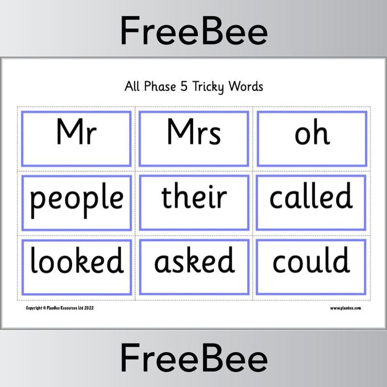 Downloadable Tricky Words Bingo Pack by PlanBee