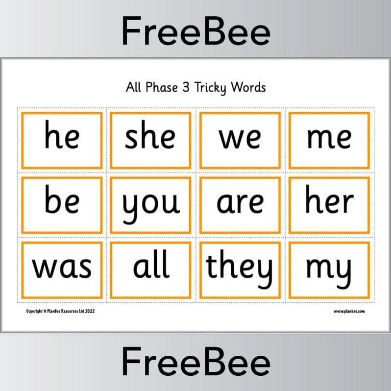 Downloadable Tricky Words Bingo Pack by PlanBee