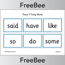 Tricky Words Flash Cards Pack — PlanBee