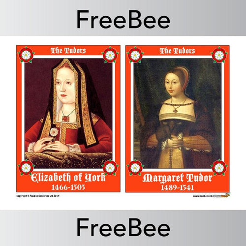 Tudors Display Free Tudor Display Cards For KS2 — PlanBee