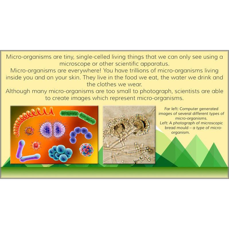 Viking Science Themed Lessons for Year 5 & Year 6 by PlanBee