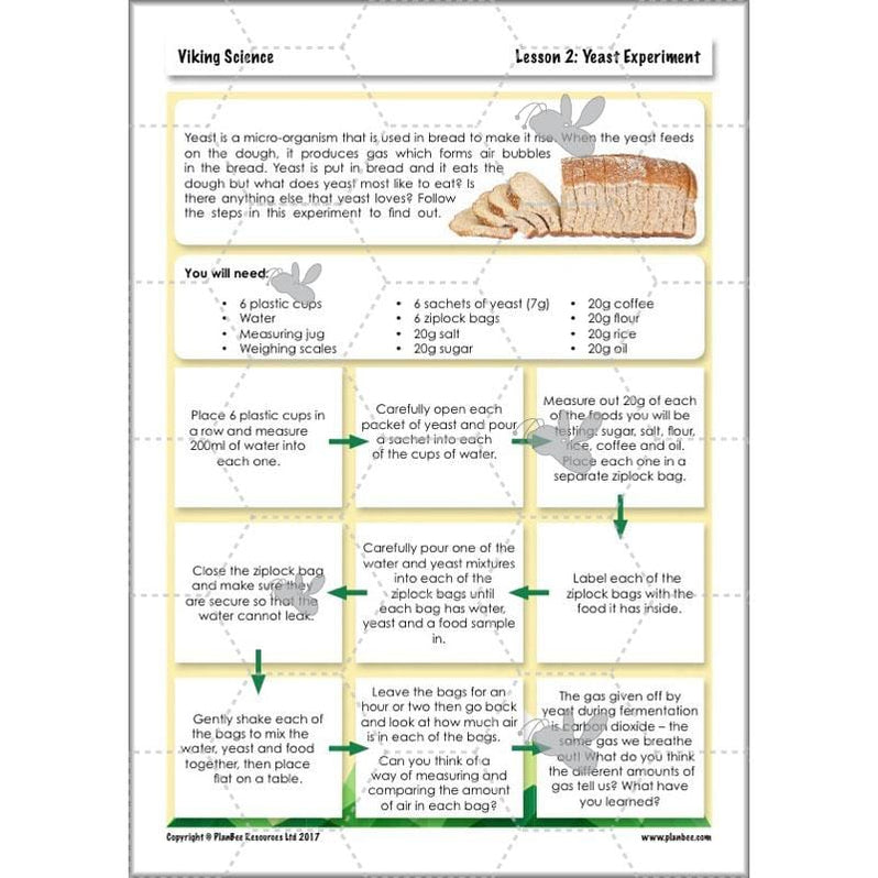 Viking Science Themed Lessons for Year 5 & Year 6 by PlanBee