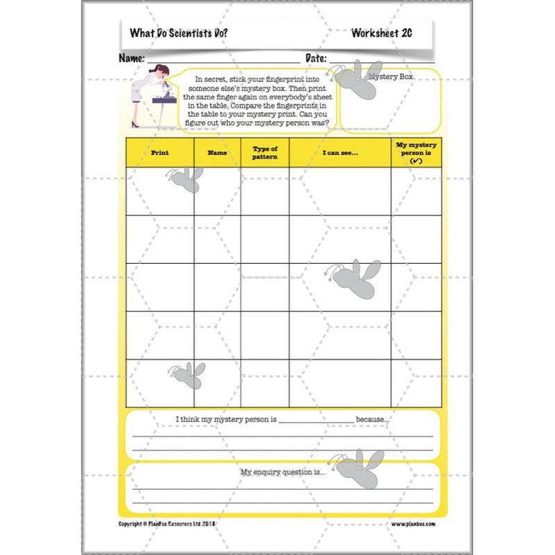 Scientific Enquiry KS2 Lessons - What Do Scientists Do? — PlanBee
