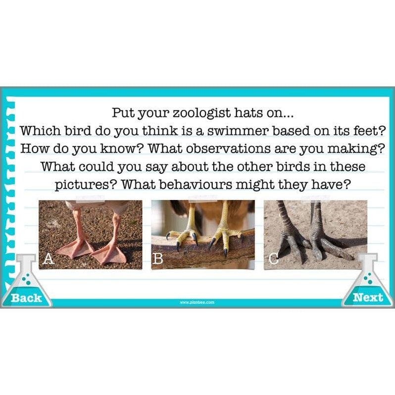 Scientific Enquiry KS2 Lessons - What Do Scientists Do? — PlanBee