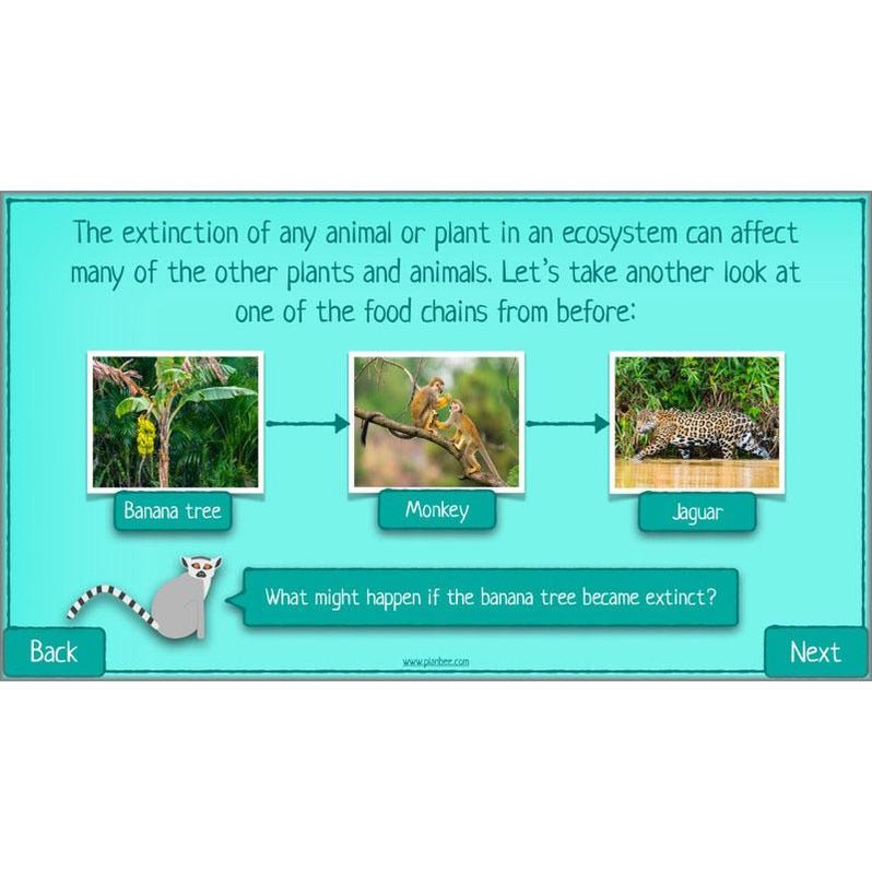 Biodiversity KS2 ESR Lesson What is Biodiversity? by PlanBee