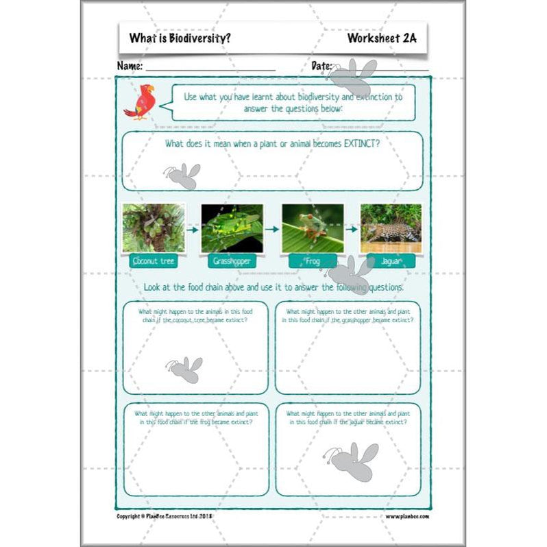 Biodiversity KS2 ESR Lesson What is Biodiversity? by PlanBee