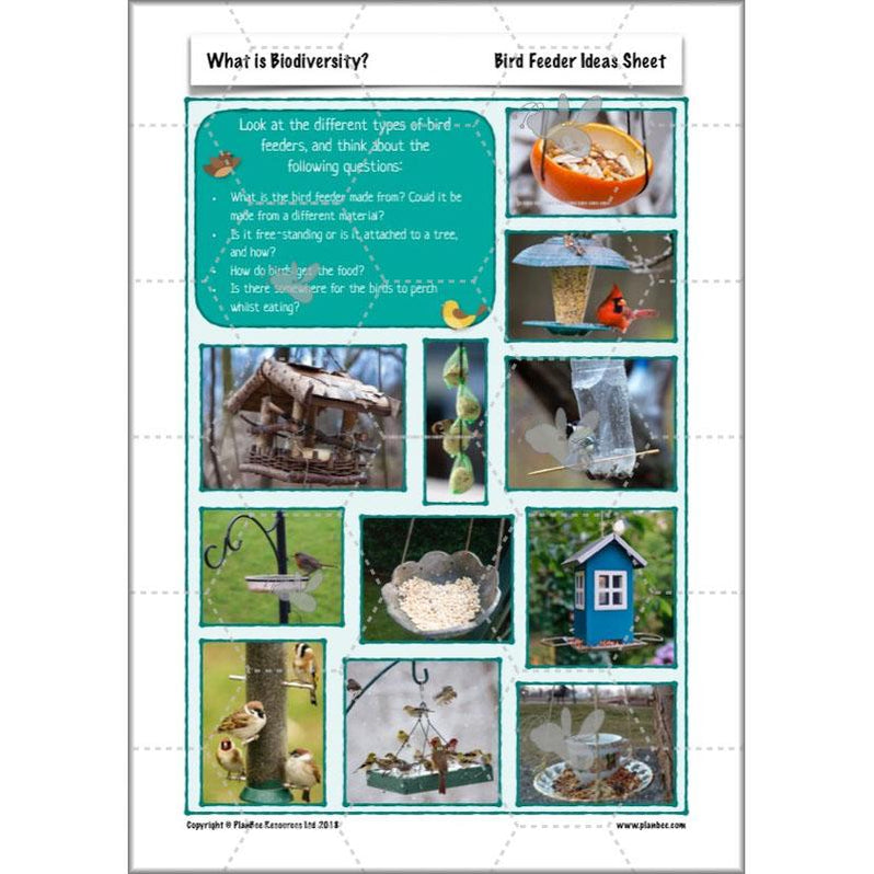 Biodiversity KS2 ESR Lesson What is Biodiversity? by PlanBee
