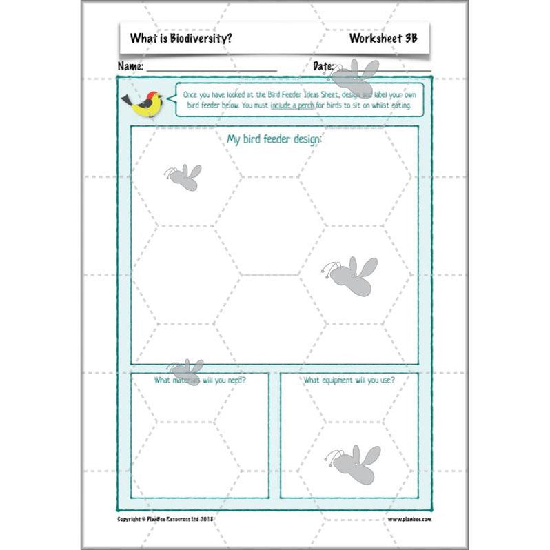 Biodiversity KS2 ESR Lesson What is Biodiversity? by PlanBee