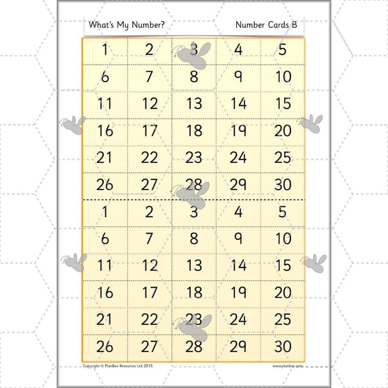 What's My Number? Year 2 Maths Lesson Pack by PlanBee