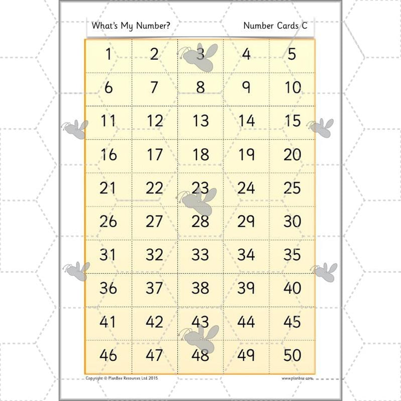 What's My Number? Year 2 Maths Lesson Pack by PlanBee
