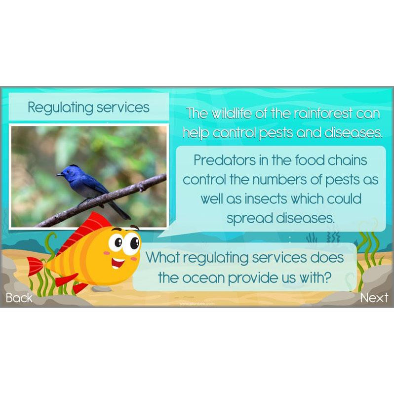 Ocean Ecosystems KS2 ESR Lessons by PlanBee