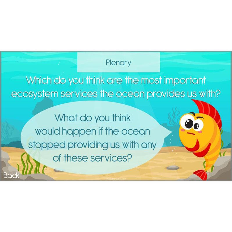 Ocean Ecosystems KS2 ESR Lessons by PlanBee