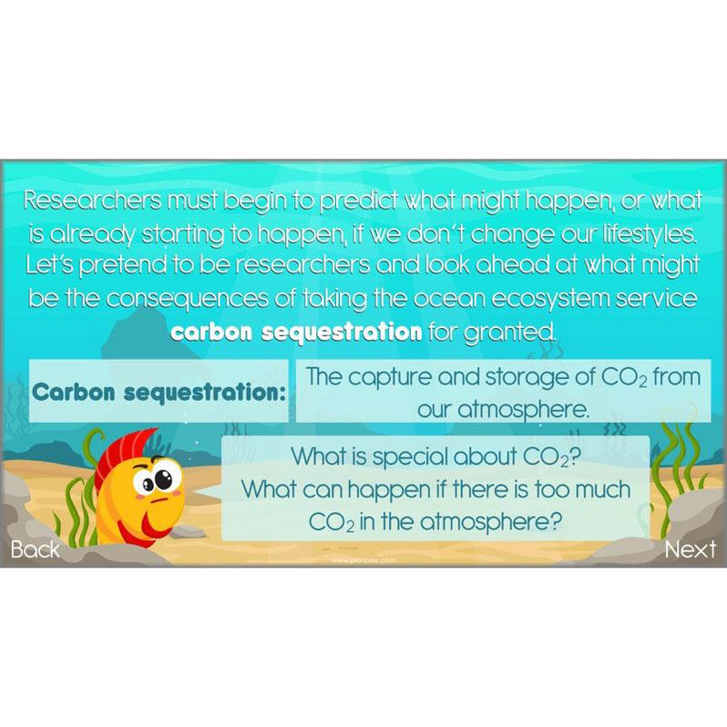 Ocean Ecosystems KS2 ESR Lessons by PlanBee