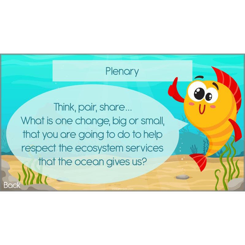 Ocean Ecosystems KS2 ESR Lessons by PlanBee