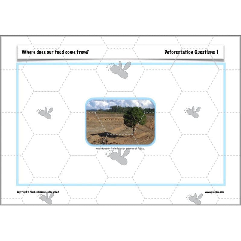 Where Does Our Food Come From? KS2 Geography pack by PlanBee
