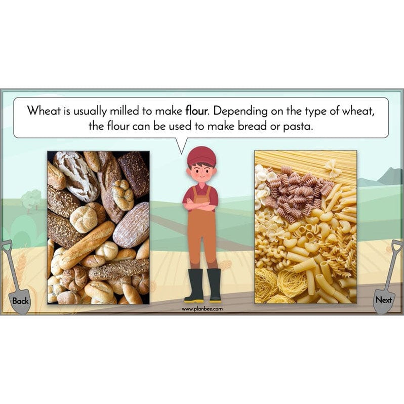 Where Does Our Food Come From? KS2 Geography pack by PlanBee