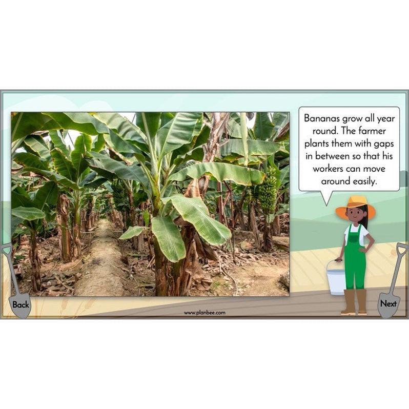 Where Does Our Food Come From? KS2 Geography pack by PlanBee