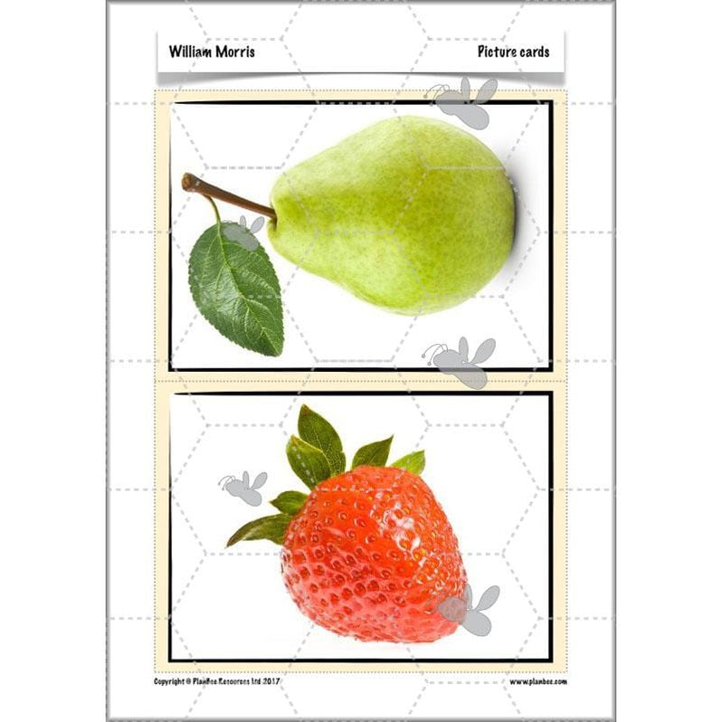 William Morris KS2 Art Lesson Plan Packs for Year 3 & Year 4 — PlanBee