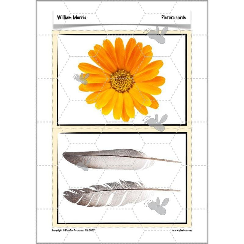 William Morris KS2 Art Lesson Plan Packs for Year 3 & Year 4 — PlanBee