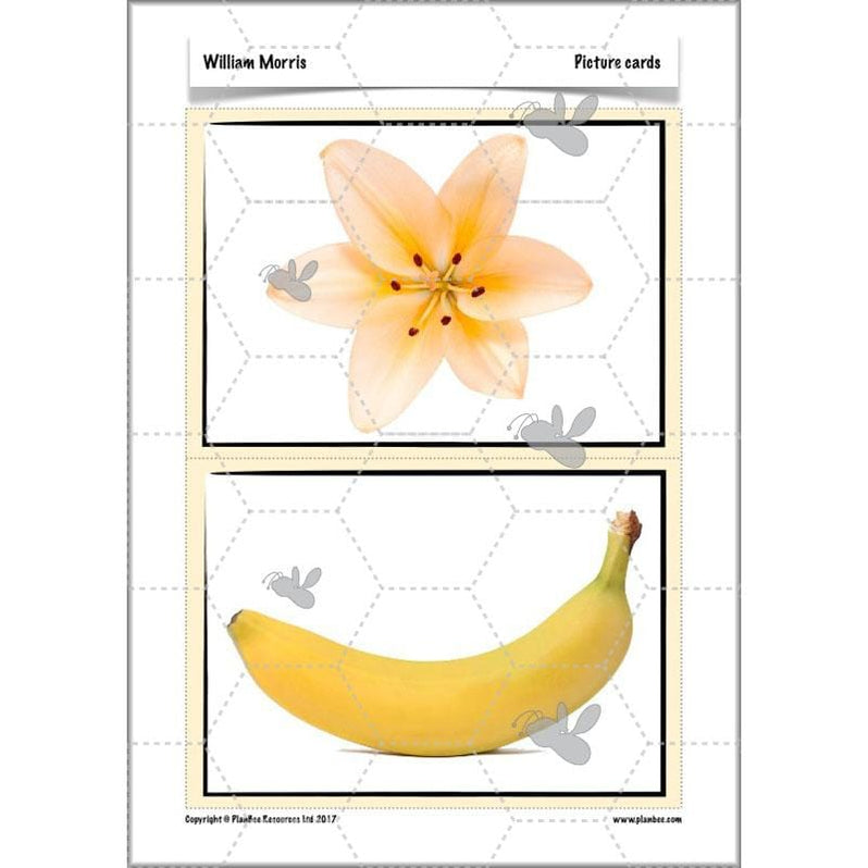William Morris KS2 Art Lesson Plan Packs for Year 3 & Year 4 — PlanBee